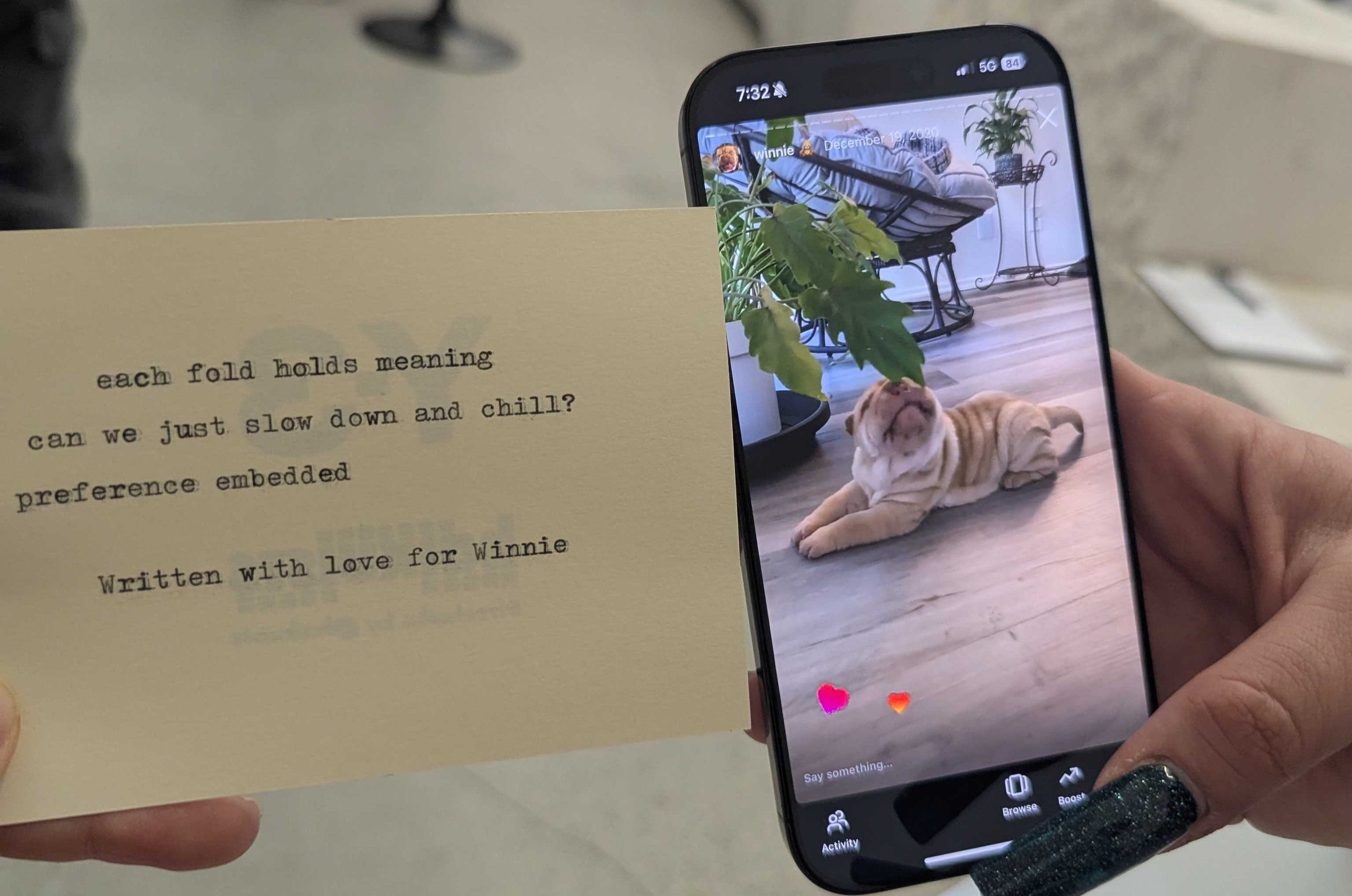 Poems for Good Boys: 15 Dog Haiku That Might Make You Cry – Haikuists