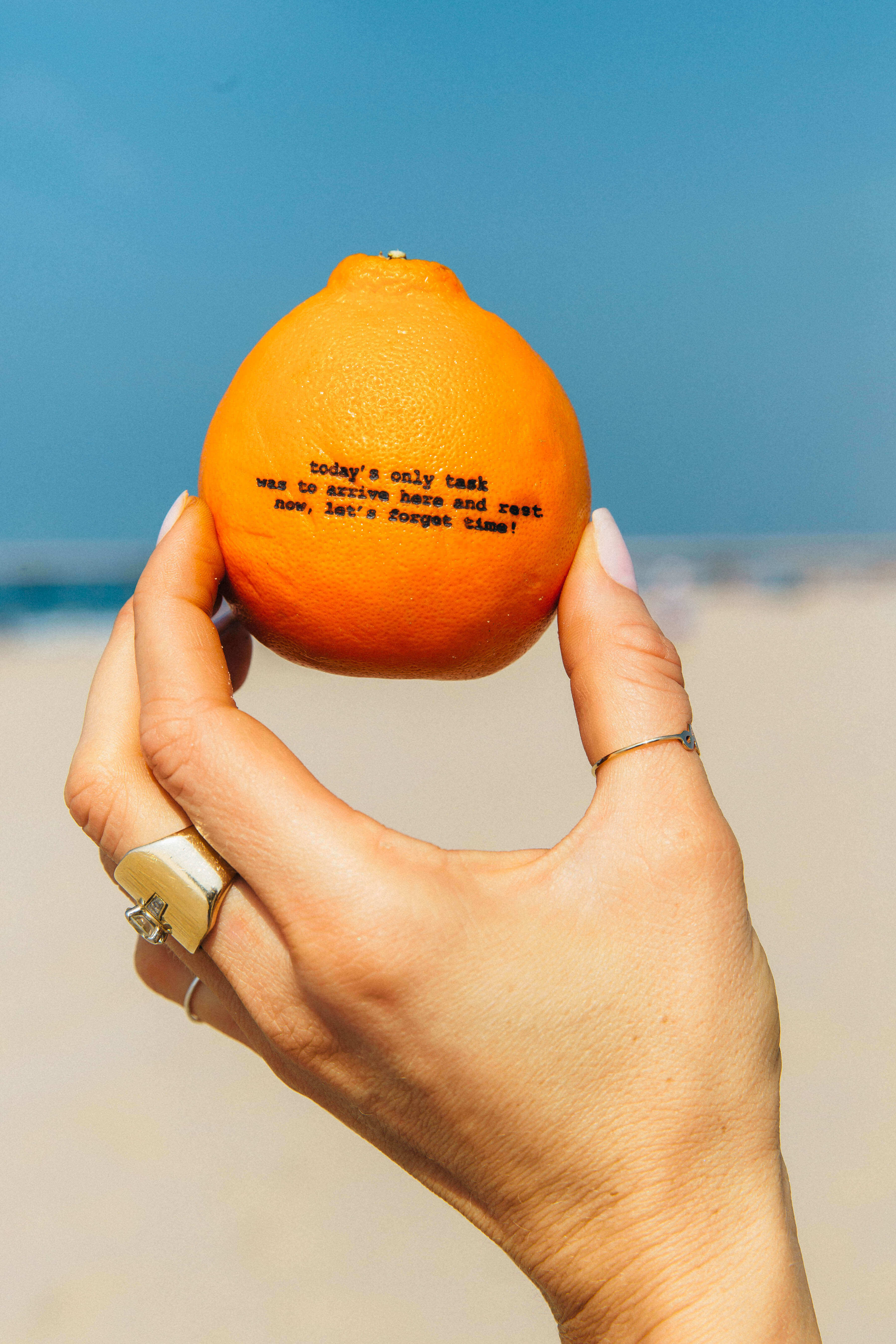 Haiku Fresh – Haikuists